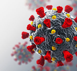 Canadian Public Health Association